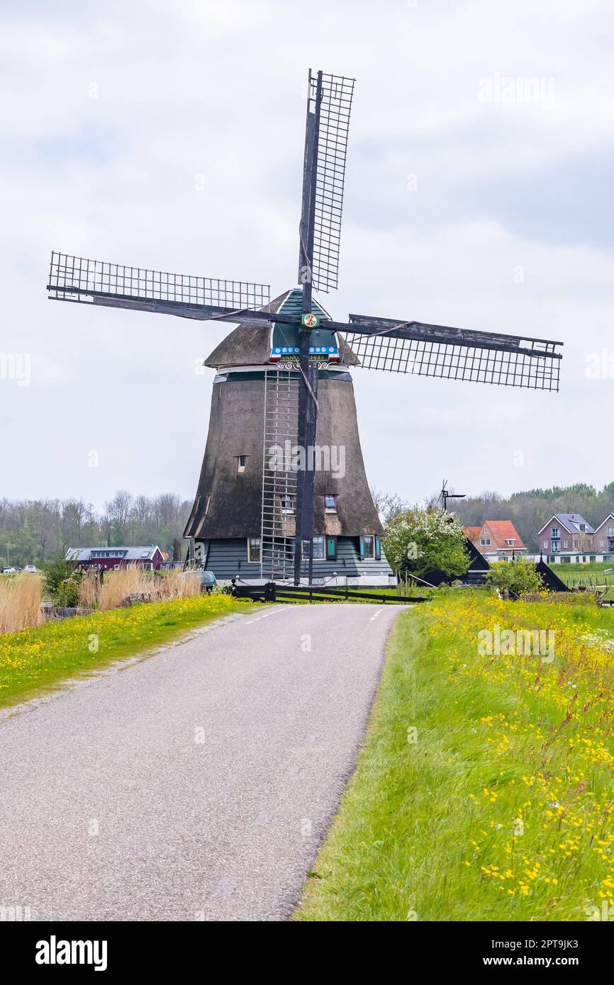 Europe, Netherlands, Friesland. Traditional windmill on a Dutch road ...