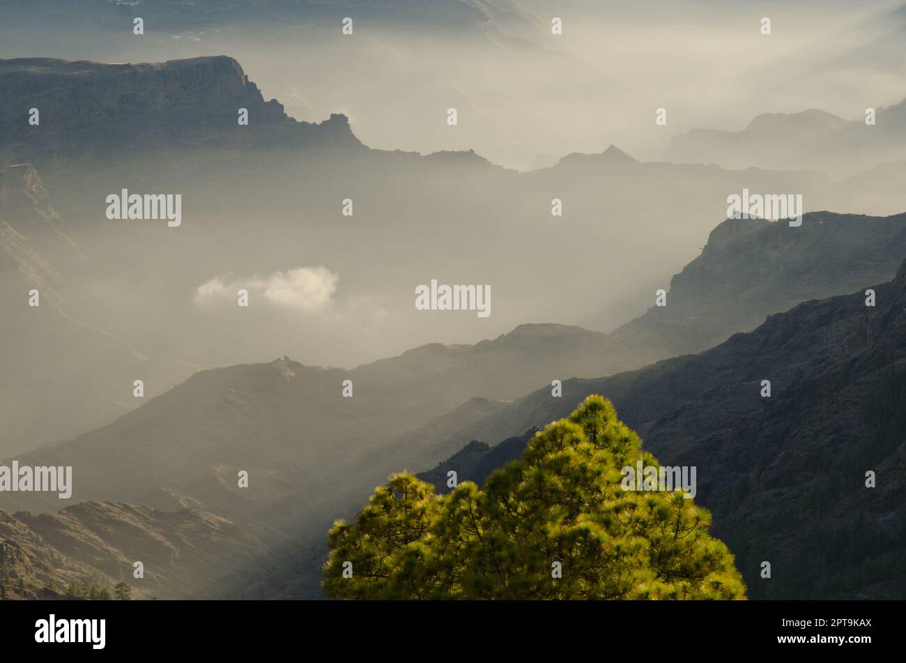 Cliffs and ravines. The Nublo Rural Park. Gran Canaria. Canary Islands ...