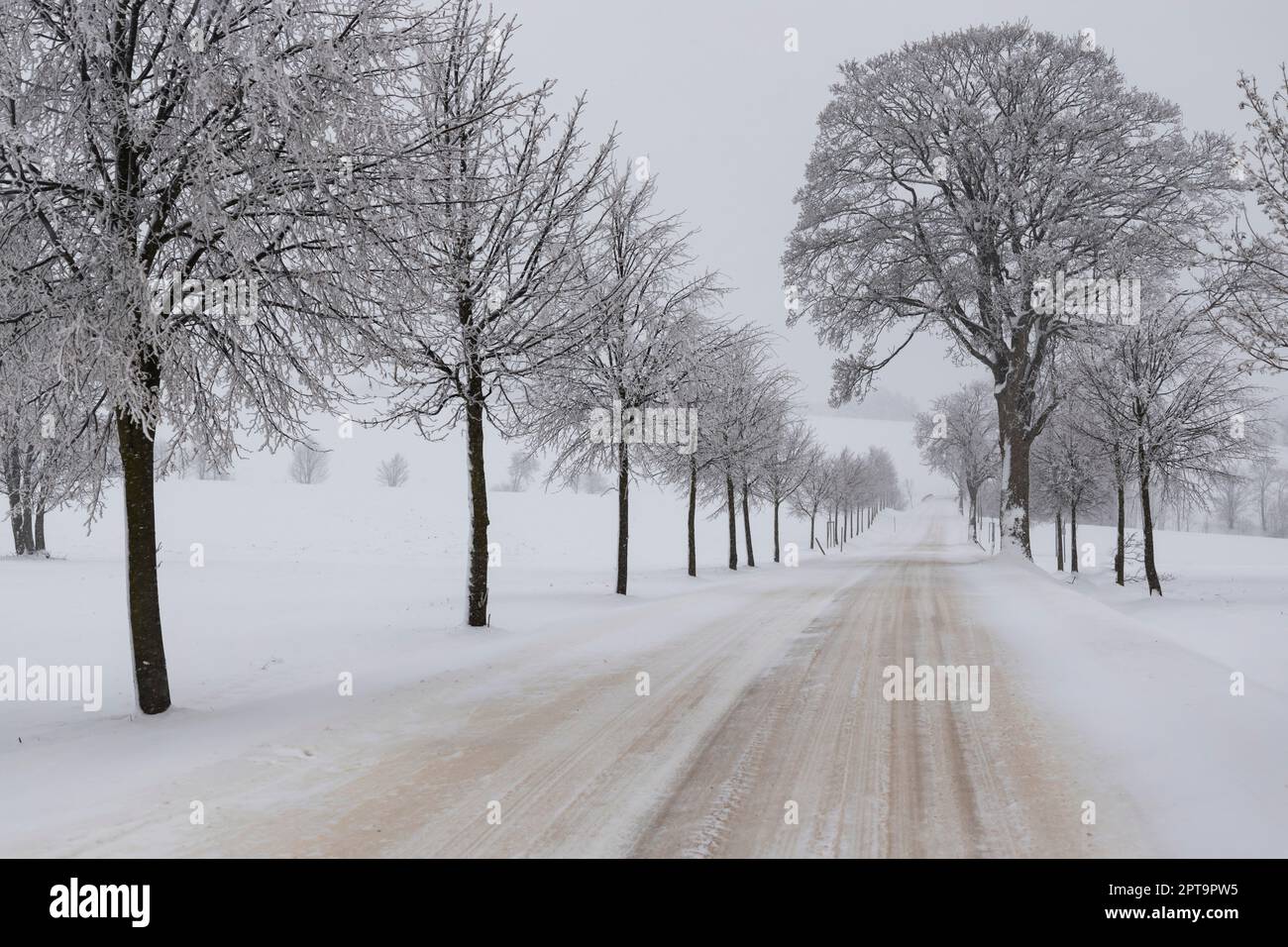 Dusty road with fresh snow Stock Photo - Alamy