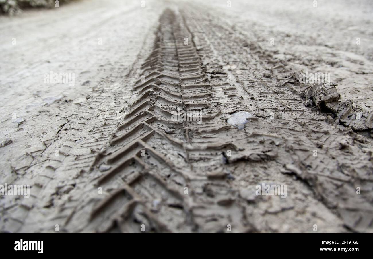 Detail of off-road car marks on a wet and muddy ground Stock Photo - Alamy