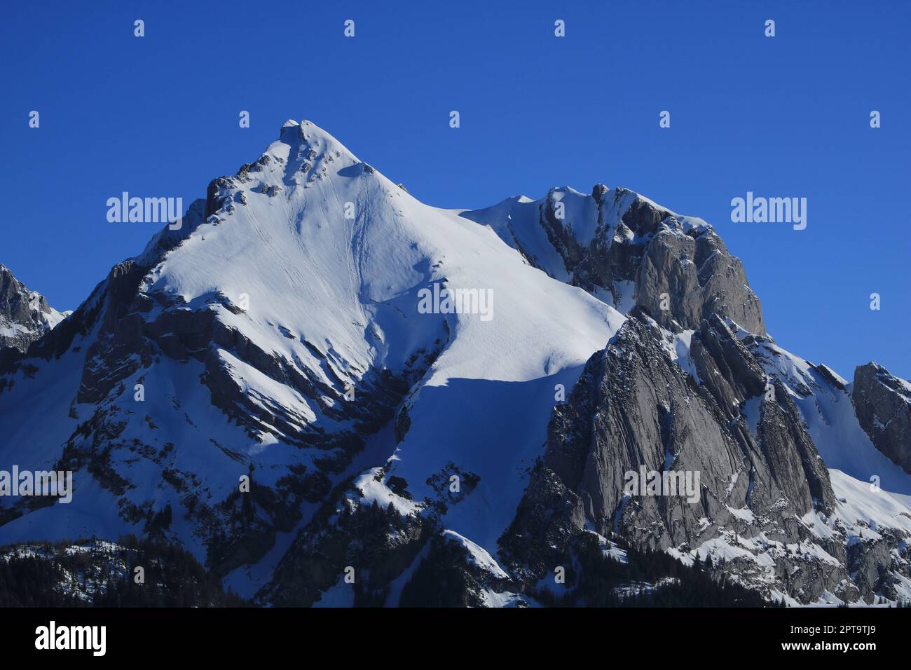 The altmann hi-res stock photography and images - Alamy