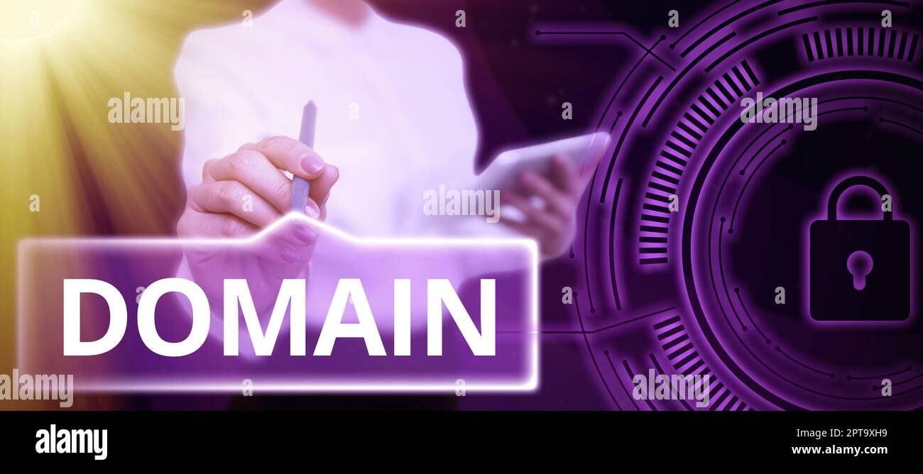 Text sign showing Domain, Business approach identification string that ...