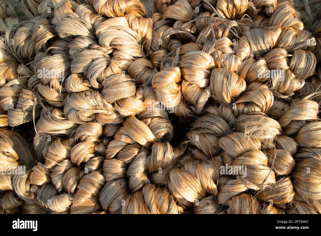 thick brown bundle of raw jute fiber Texture Background Stock Photo - Alamy