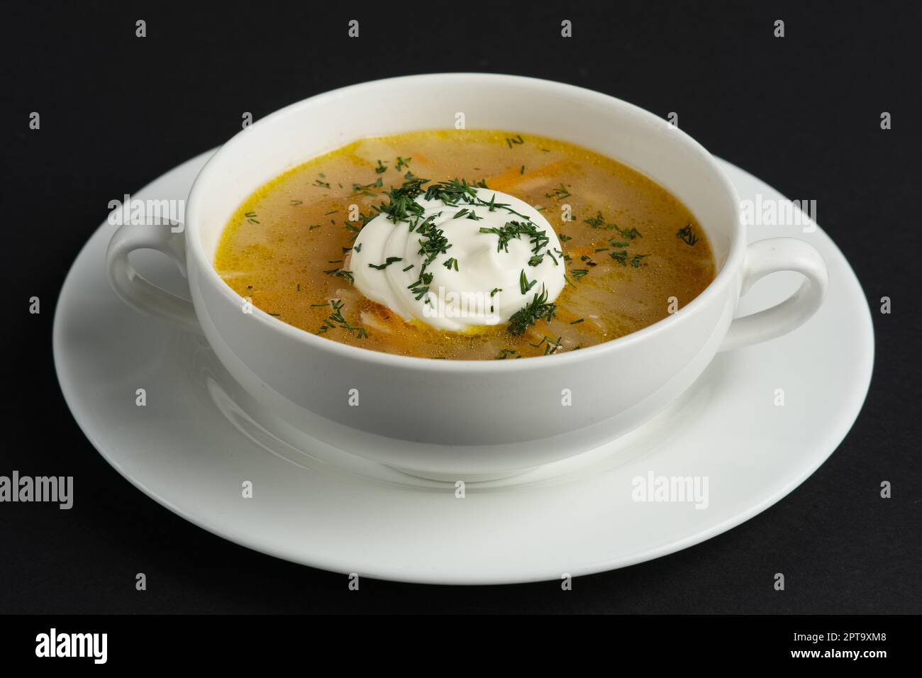 Traditional russian shchi, soup from pickled cabbage Stock Photo - Alamy