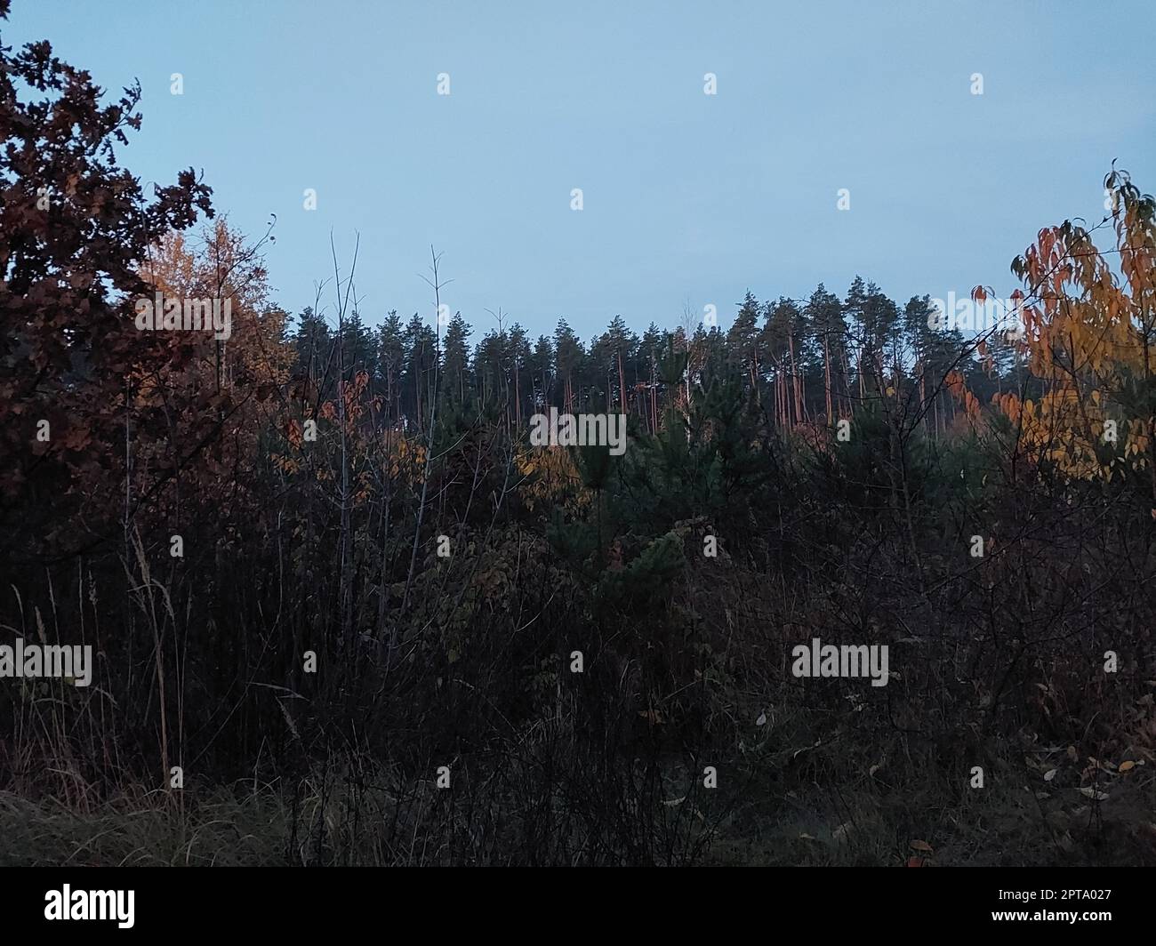 Morning and night panorama of a the dawn Stock Photo - Alamy