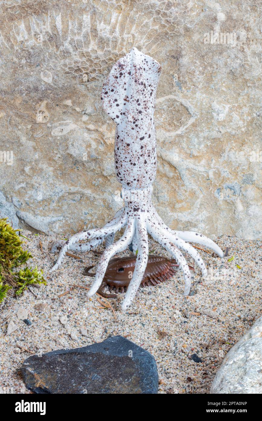 A Belemnite (CollectA 2019) lunges at a Trilobite (Toymany) against a ...