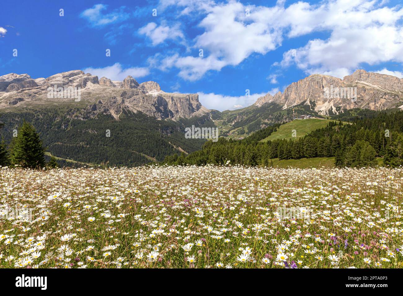Dolomiti Alps in Alta Badia landscape amd peaks view, Trentino Alto ...