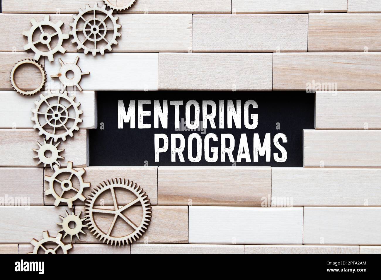 text Mentoring Programs on wooden block Stock Photo - Alamy