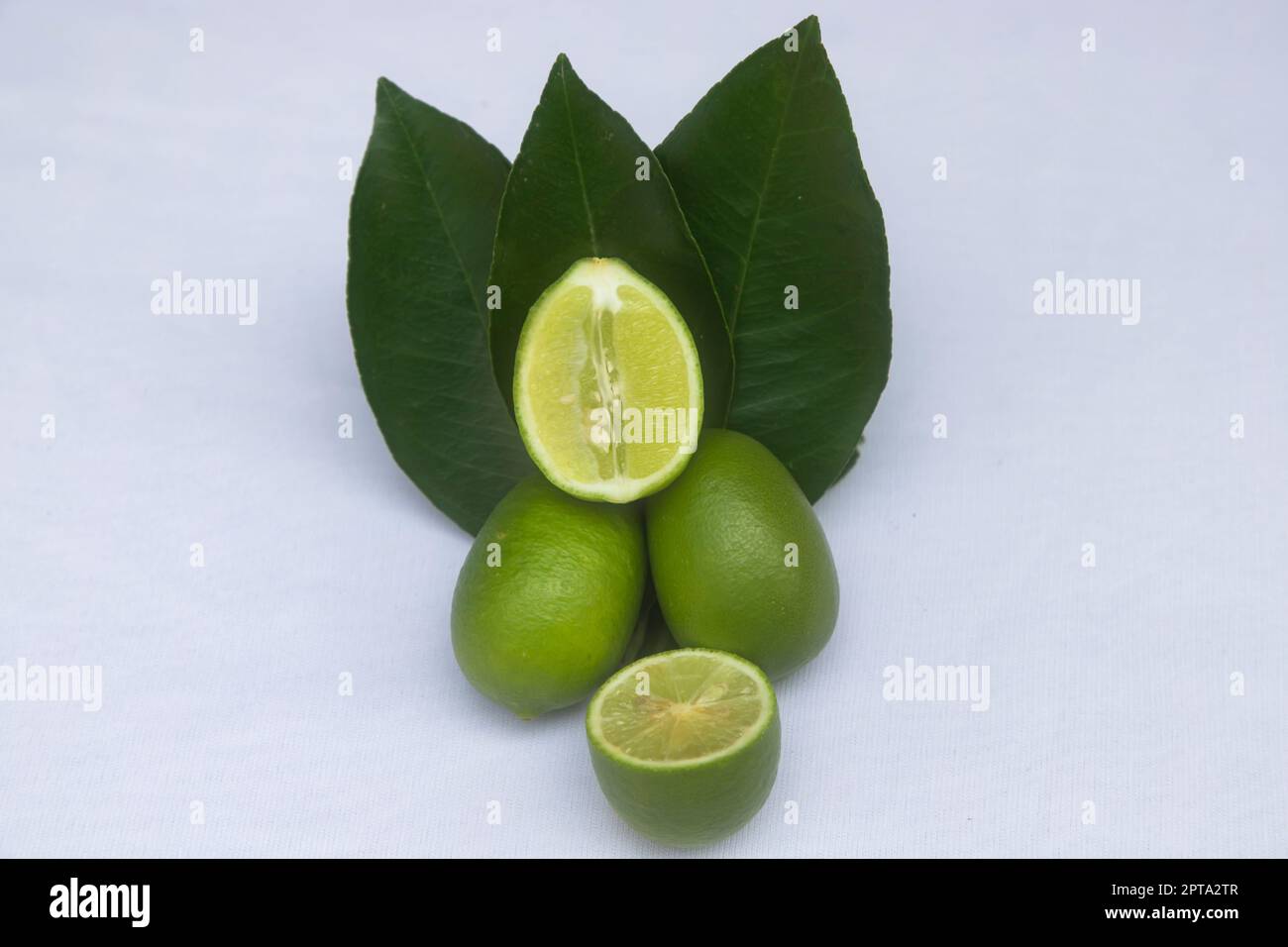 Fresh green lemon slice pieces with leaf. Testy lemon fruits ...