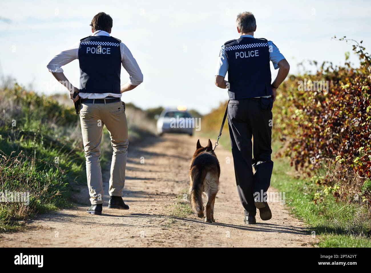 Police man dog search man hi-res stock photography and images - Alamy