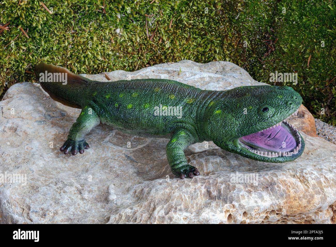 In the Early Cretaceous Period, a Koolasuchus (CollectA 2022) suns ...
