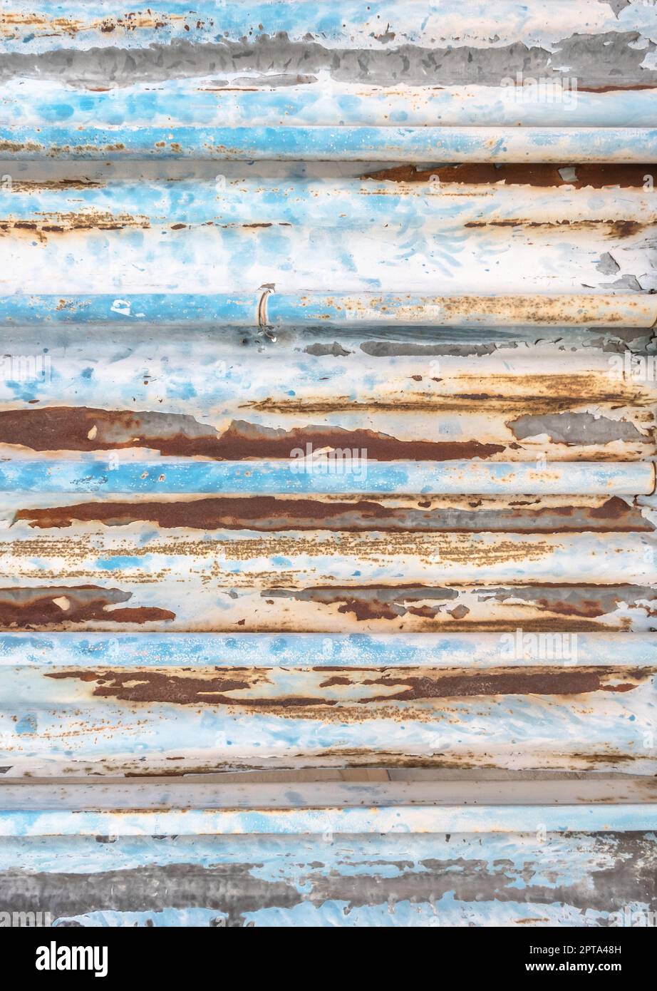 Old corrugated metal texture with rust spots on surface and peeled-off ...