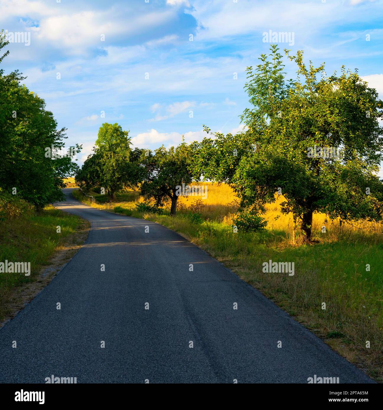 Neckar cycle path hi-res stock photography and images - Alamy