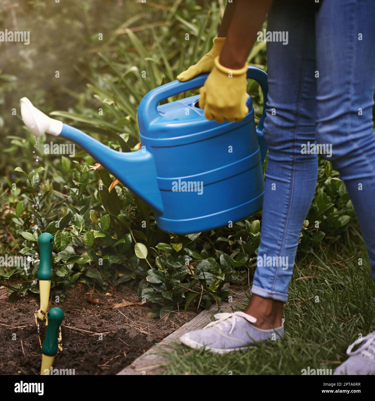 Refreshments coming right up. a young woman watering plants in her ...