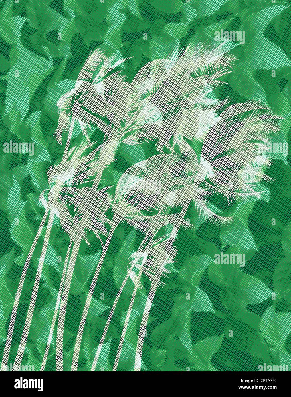 Tropical storm with palm trees Stock Vector Images - Alamy