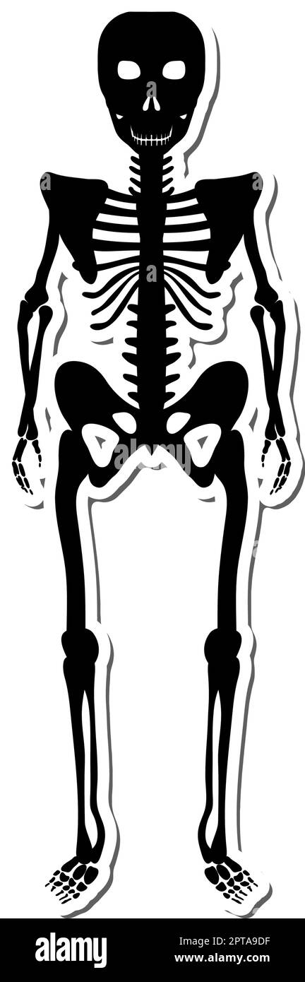 Xray Skeleton Images Stock Photos Vectors Shutterstock