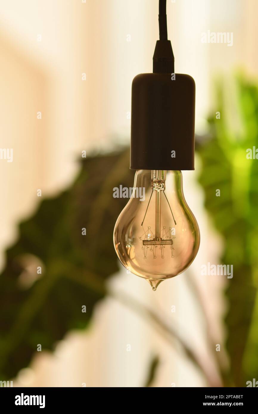 Closeup shot hanging lamp hi-res stock photography and images - Alamy