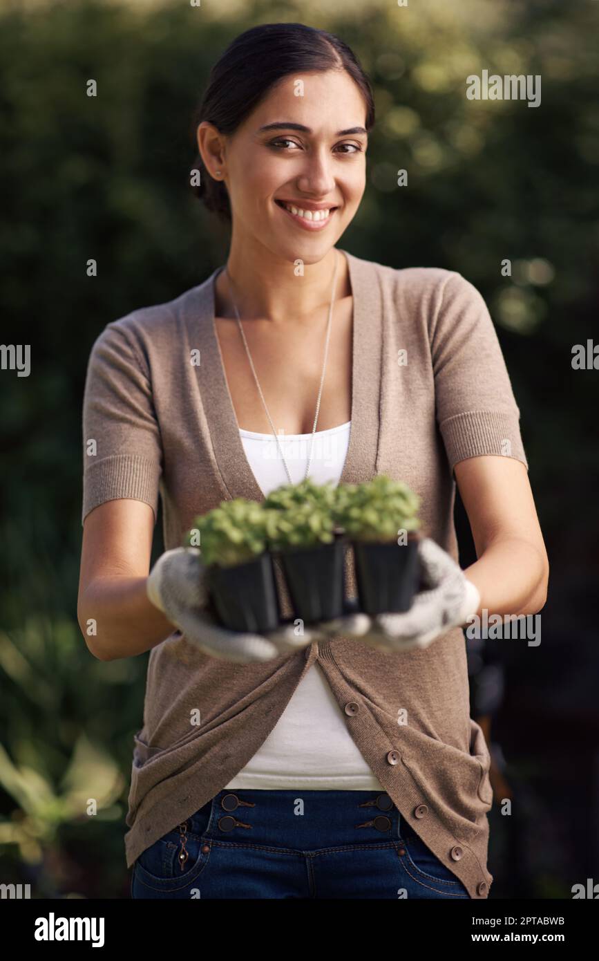 Lets get planting. A beautiful young woman holding a punnet of small ...
