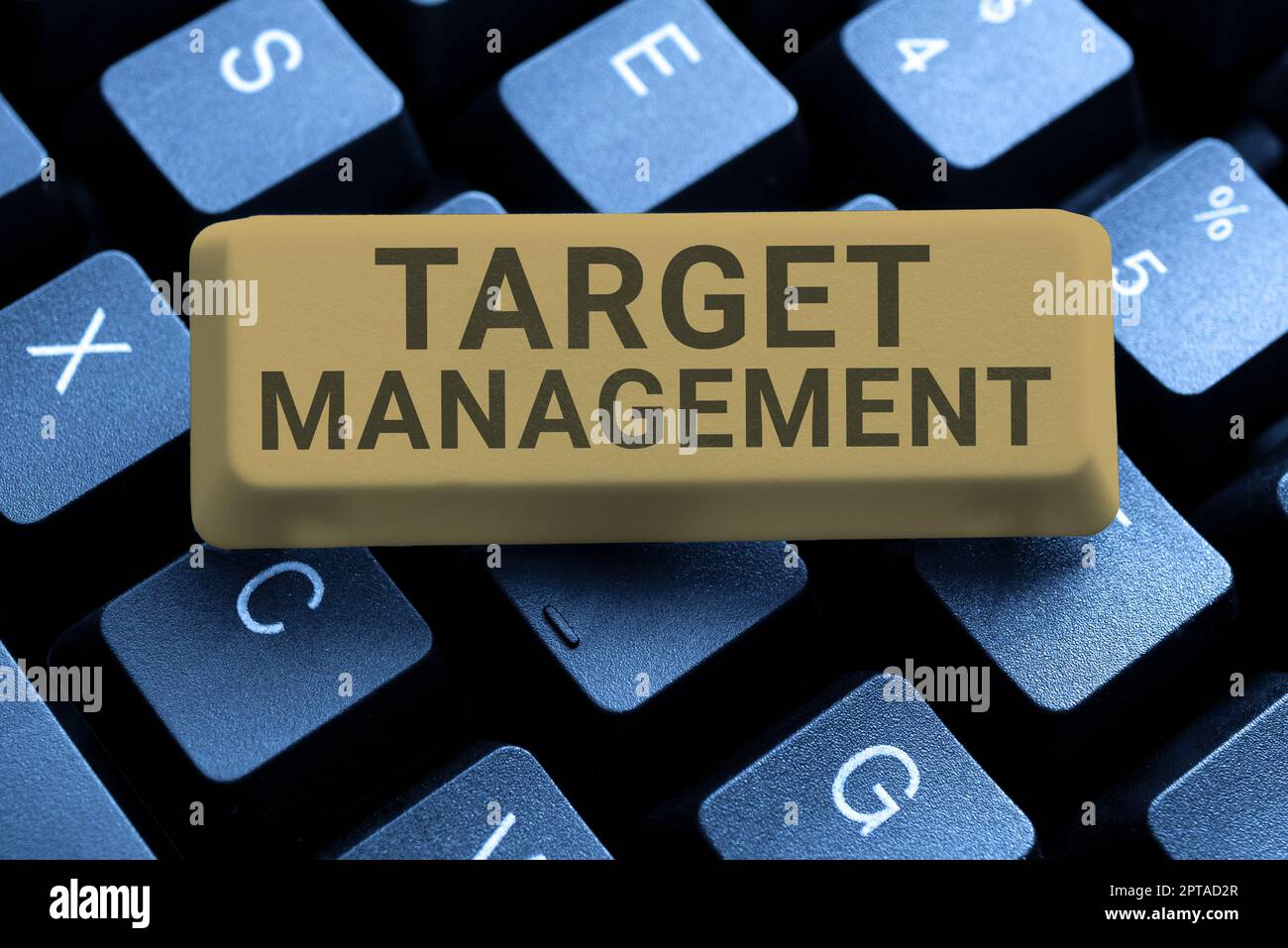 Text caption presenting Target Management, Word Written on nurturing ...