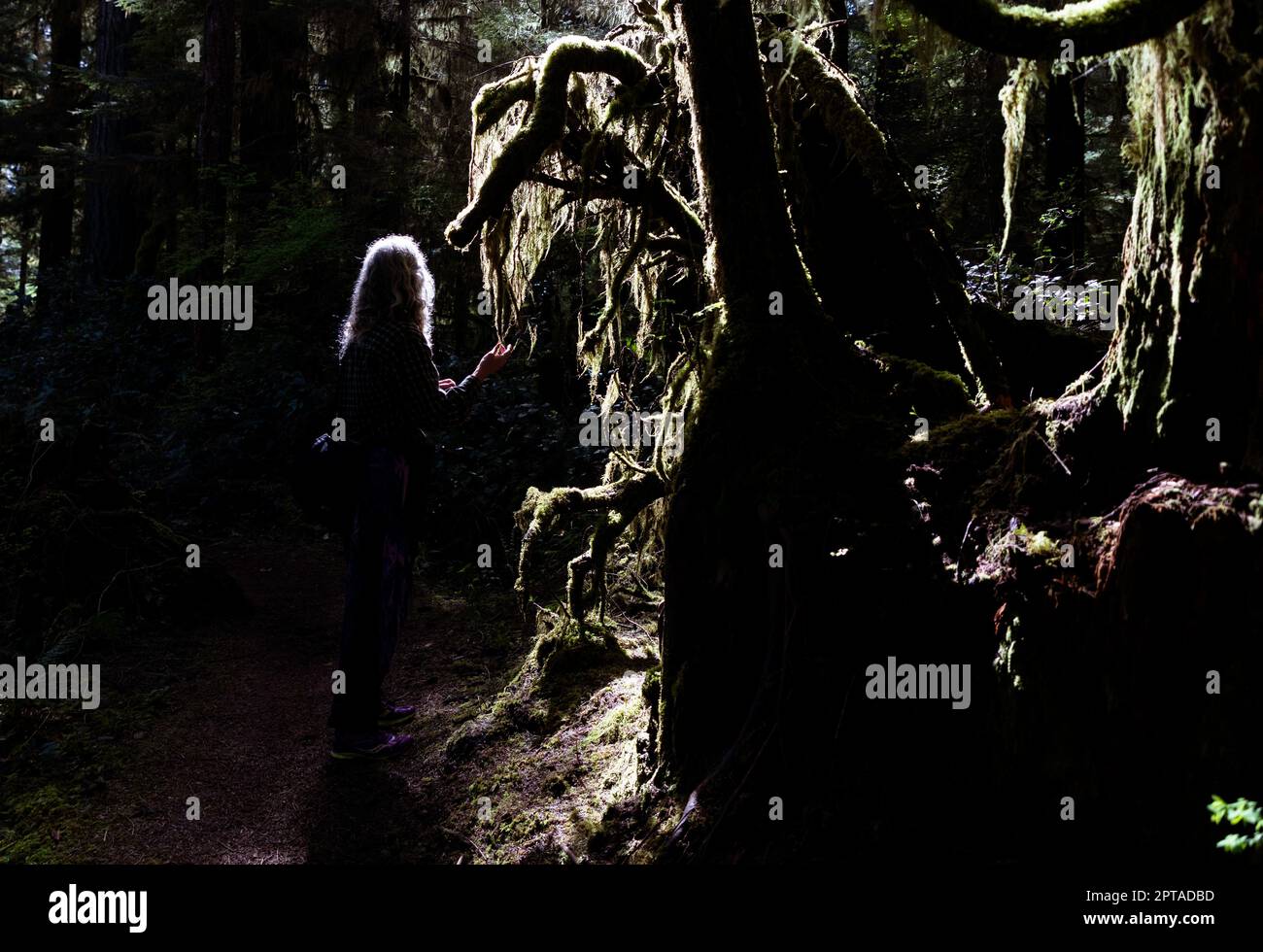 Womans hair moss hi-res stock photography and images - Alamy