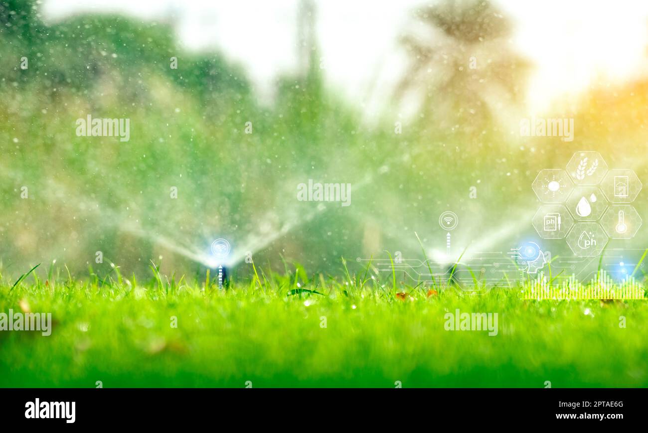 Automatic lawn sprinkler watering green grass and icon of smart farming ...