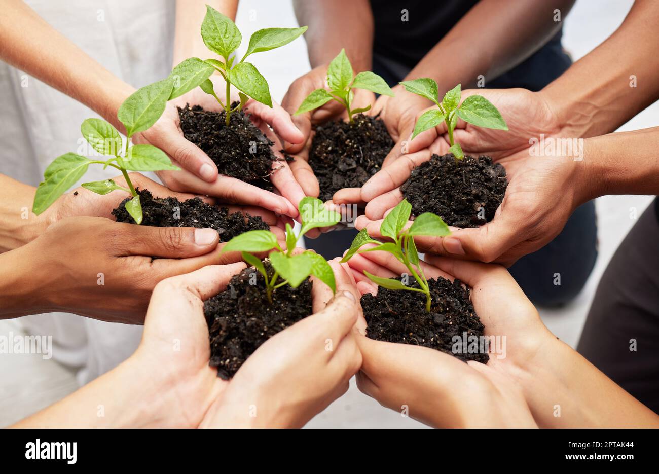 We have to conserve nature. a diverse group of people holding seedlings ...