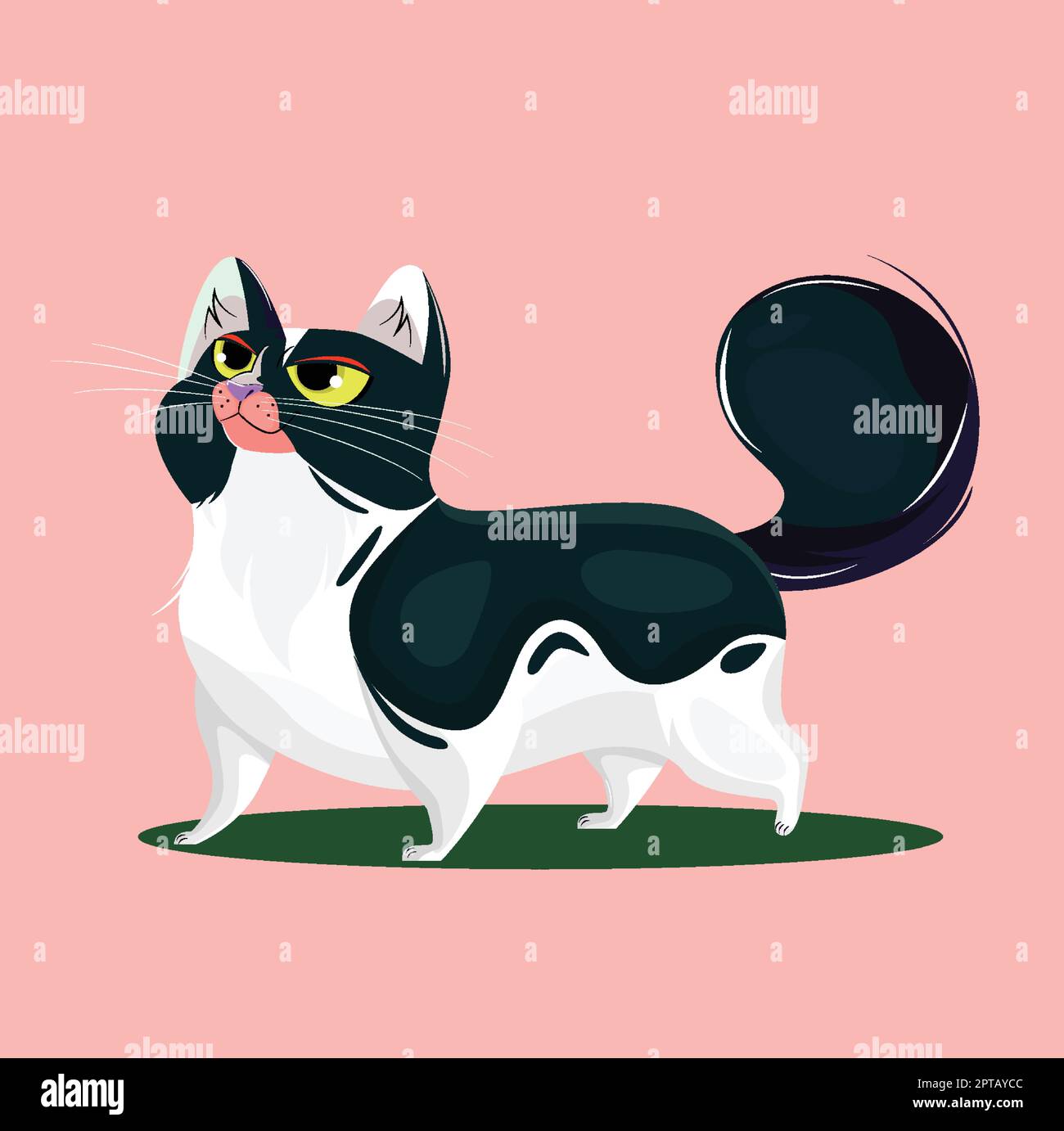 Cartoon cat looking up on a pink background Stock Vector Image & Art ...