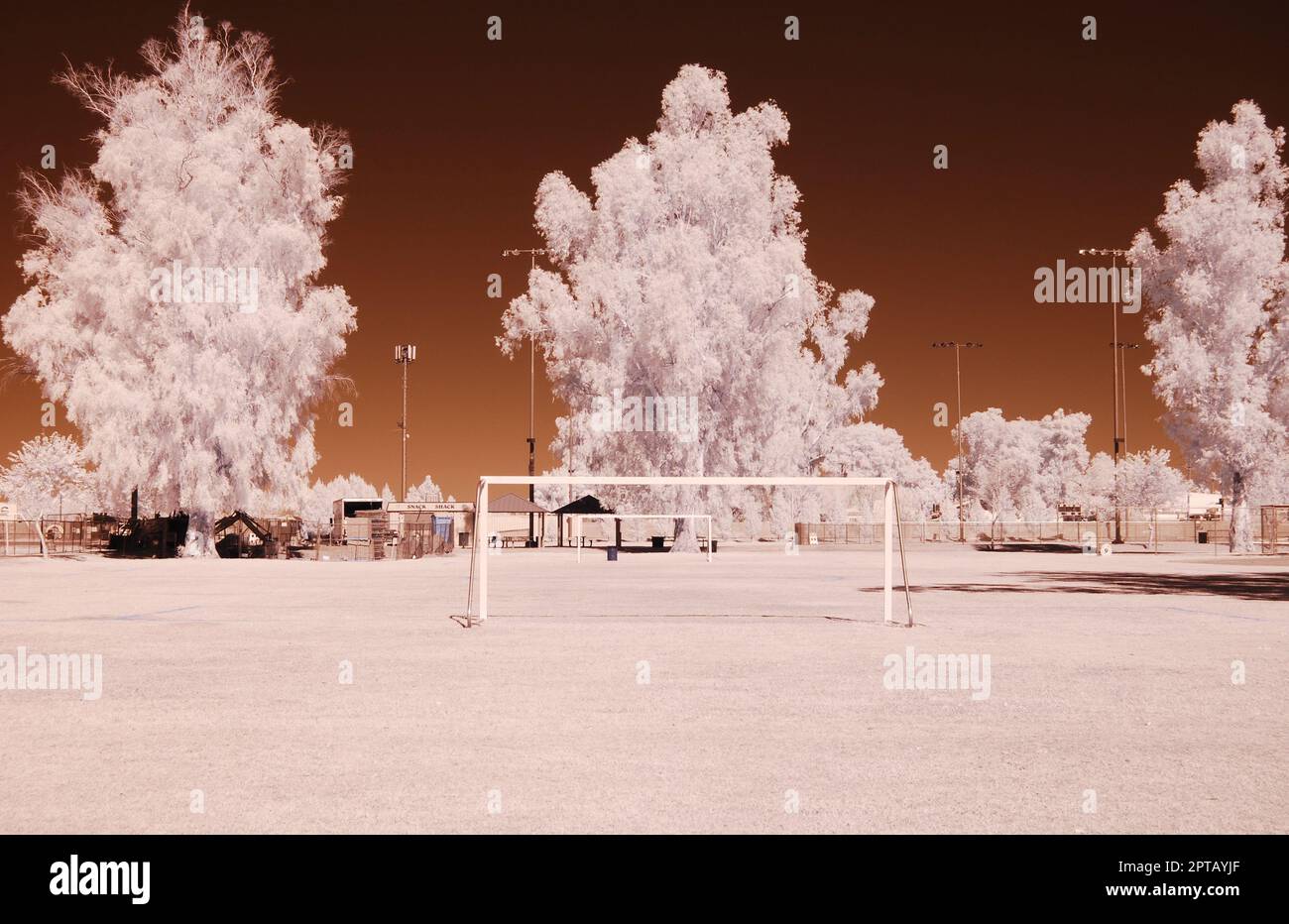 Soccer field goals trees hi-res stock photography and images - Alamy