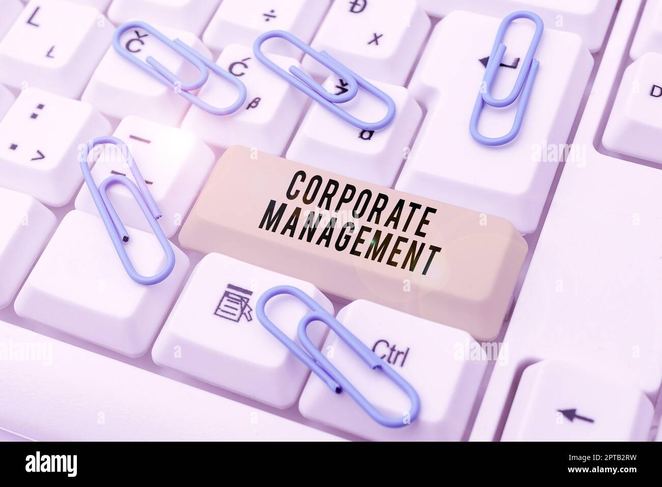 Conceptual caption Corporate Management, Word Written on all Levels of ...