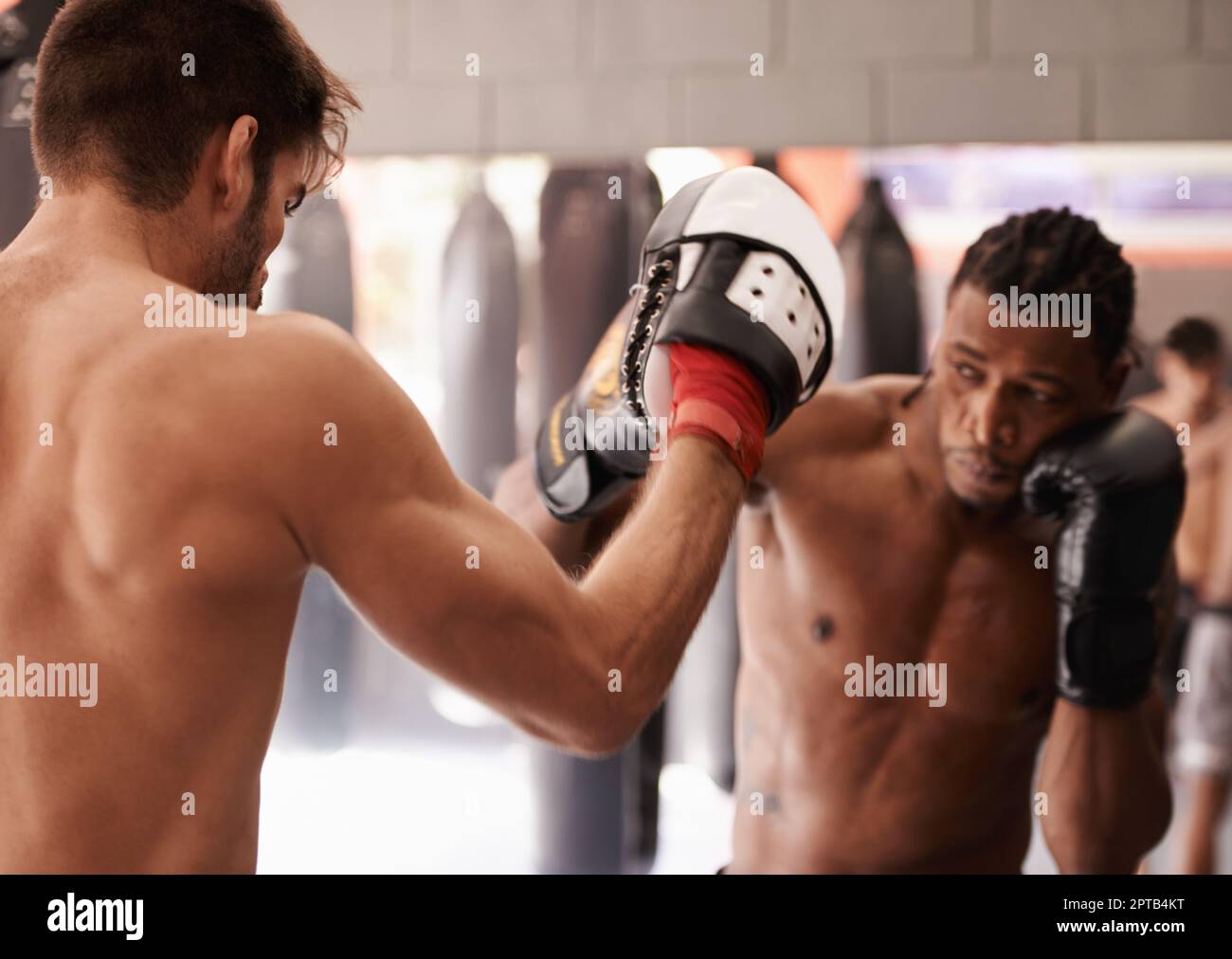 Seasoned boxers. a young boxer practicing his punching with a partner ...
