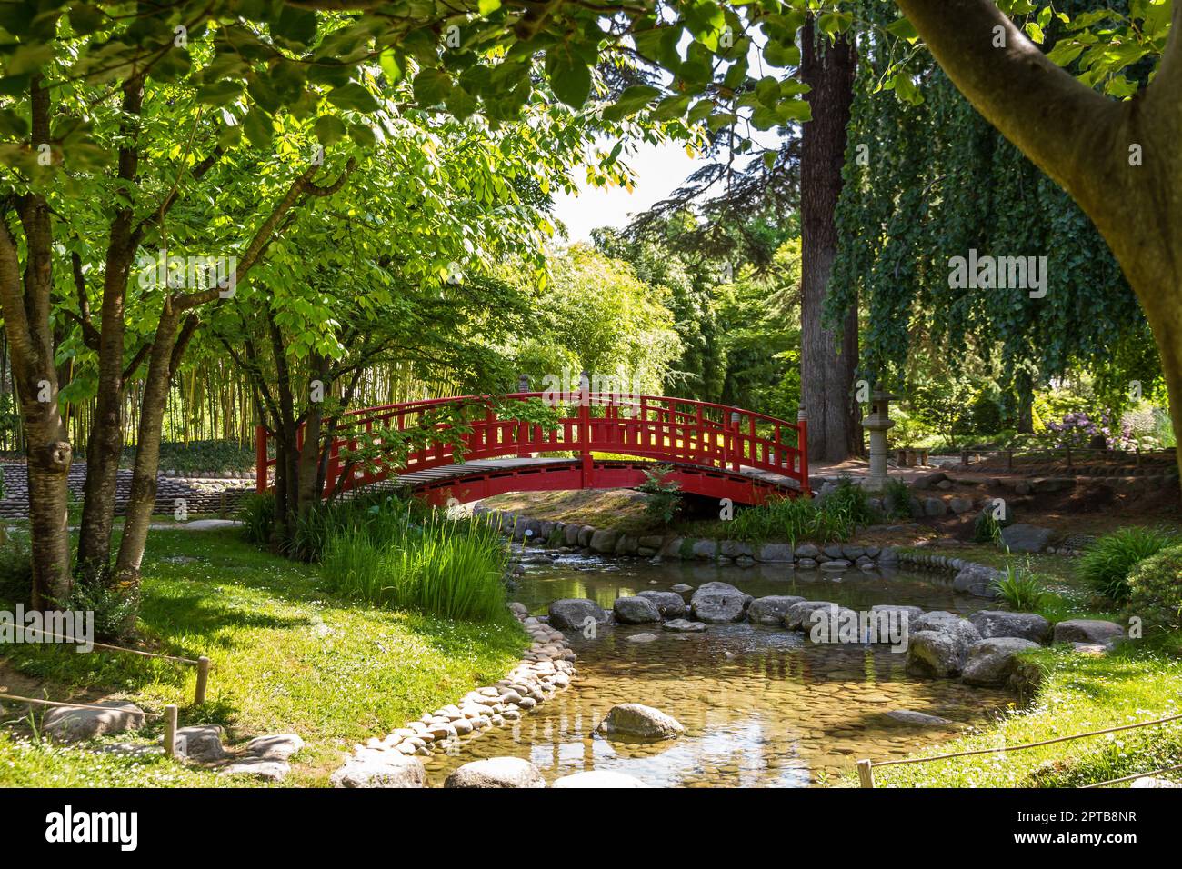 Traditional red wooden bridge on a japanese garden pond. Zen background ...
