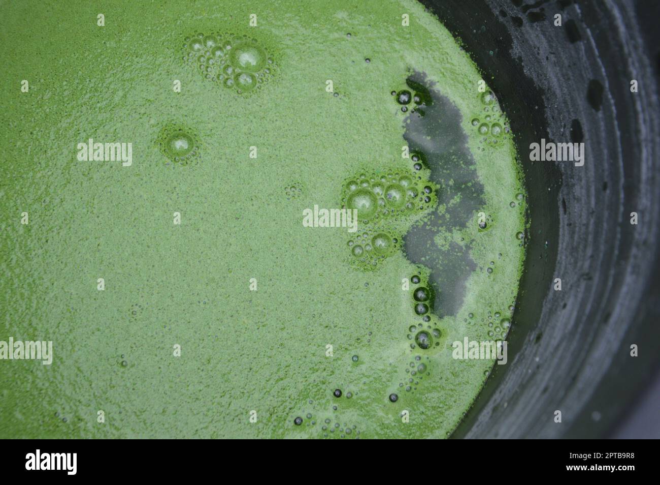 Biological and flammable protection of the wood Stock Photo - Alamy