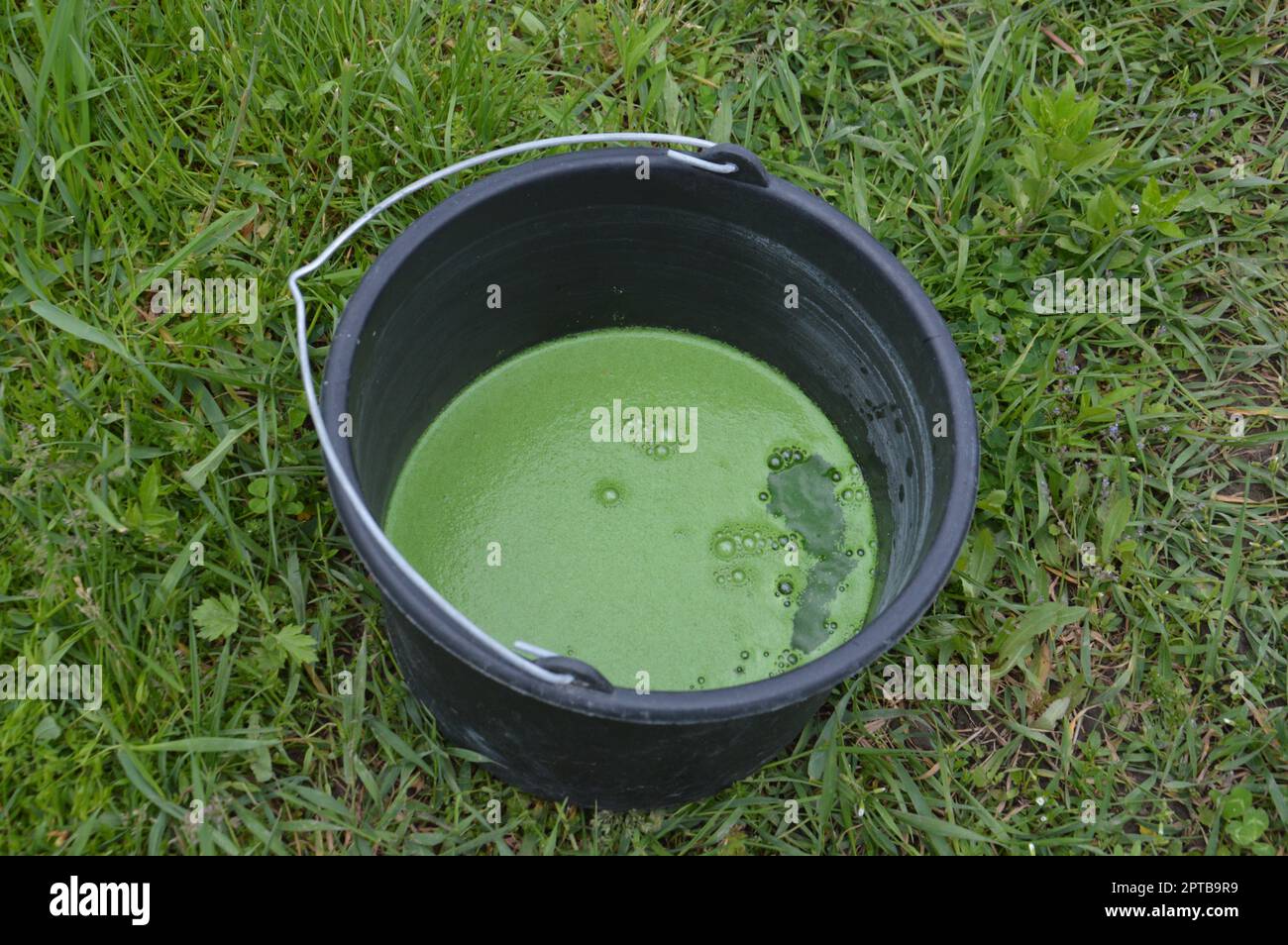 Biological and flammable protection of the wood Stock Photo - Alamy