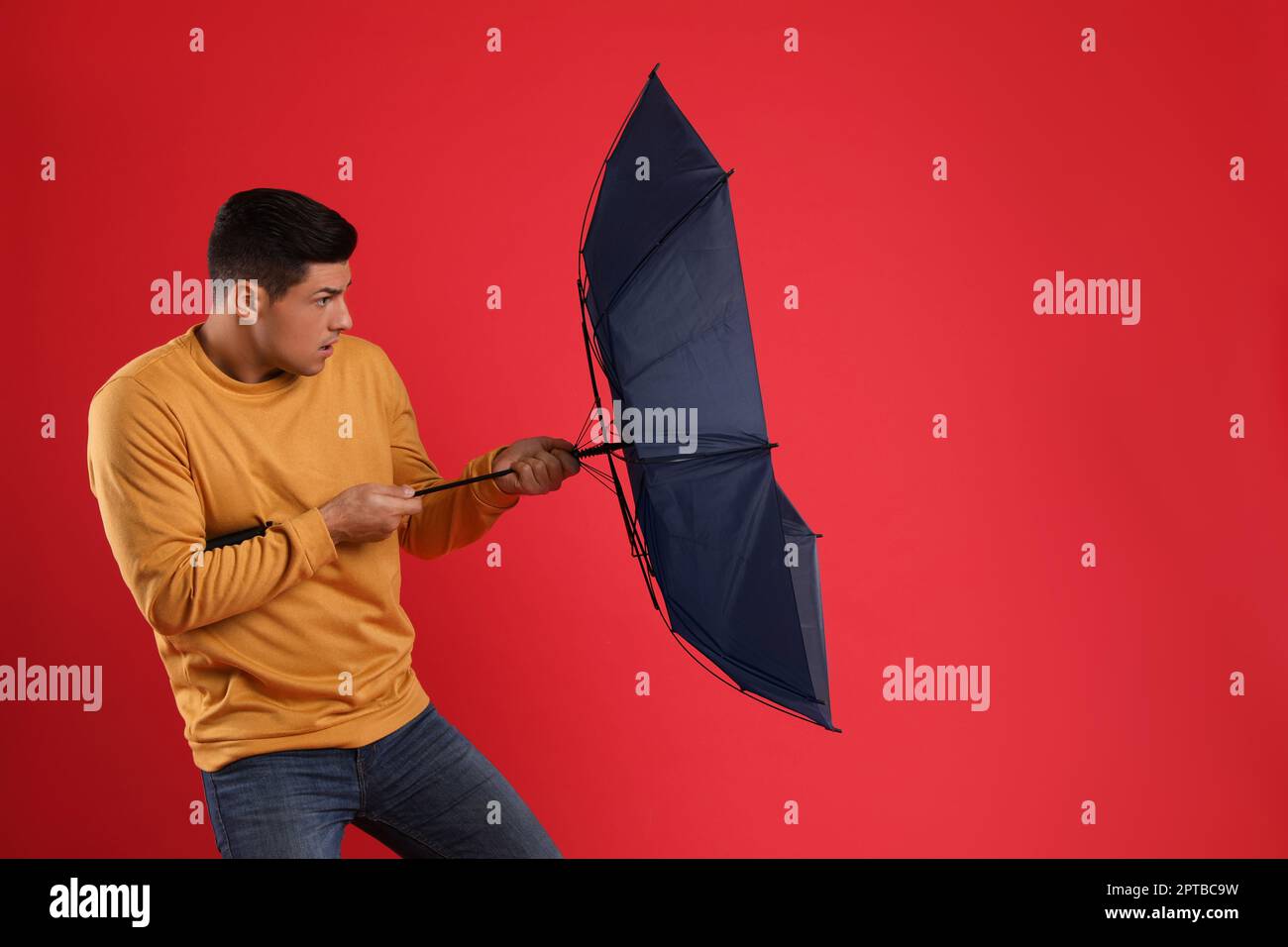 Emotional man with umbrella caught in gust of wind on red background ...