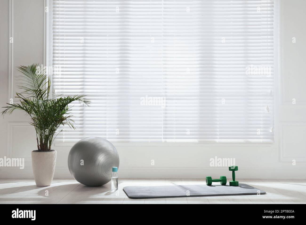 Exercise mat, dumbbells, fitness ball and houseplant near window in ...