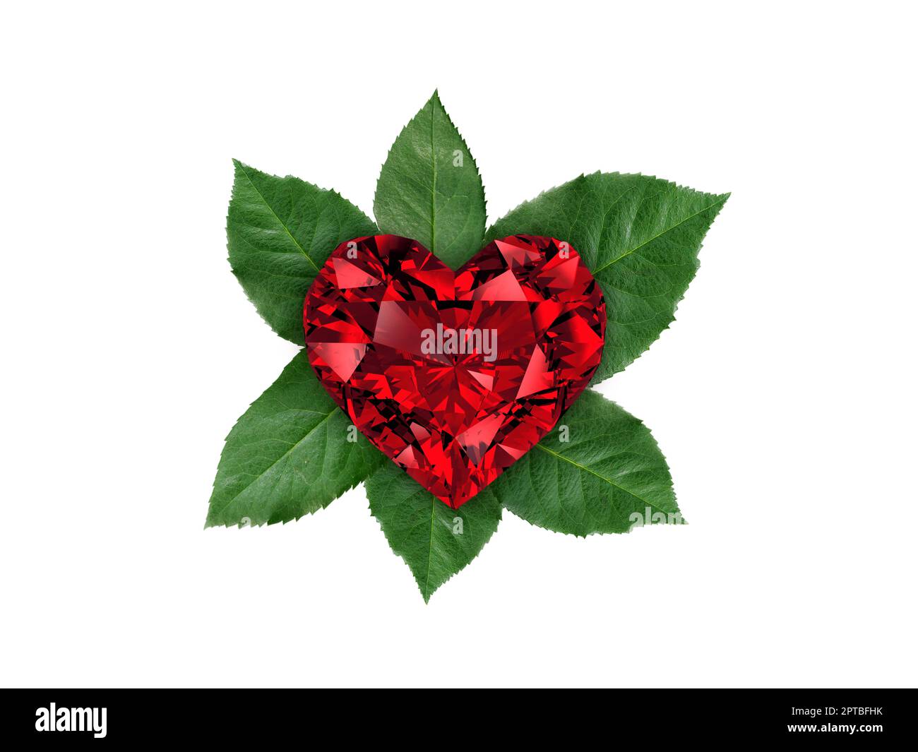 Heart shaped diamond on rose leaves Stock Photo - Alamy