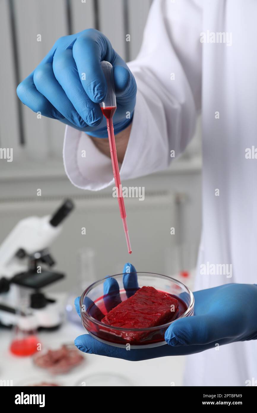 Scientist dripping red liquid into Petri dish with raw cultured meat in ...