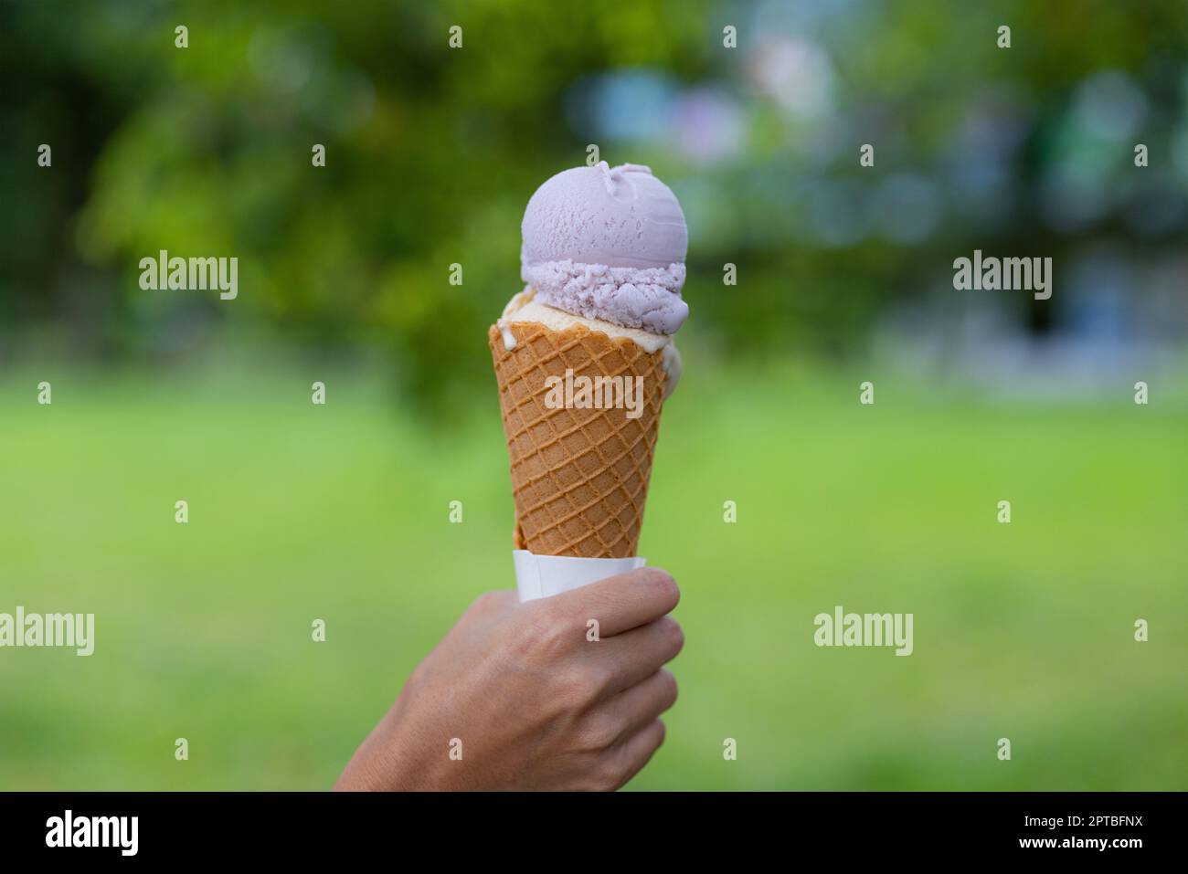 Taro Ice Cream