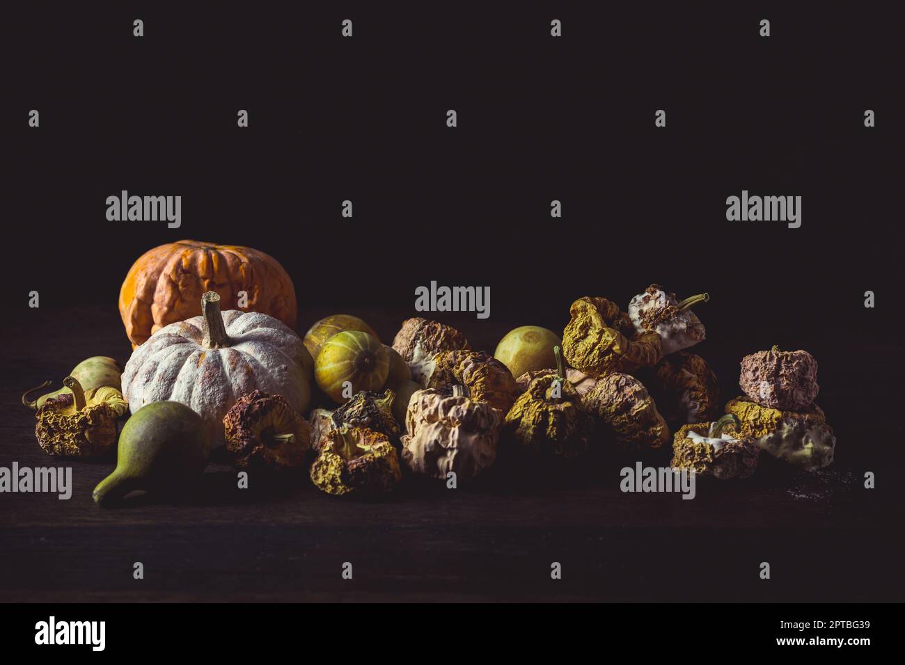 Moldy pumpkin end halloween hi-res stock photography and images - Alamy