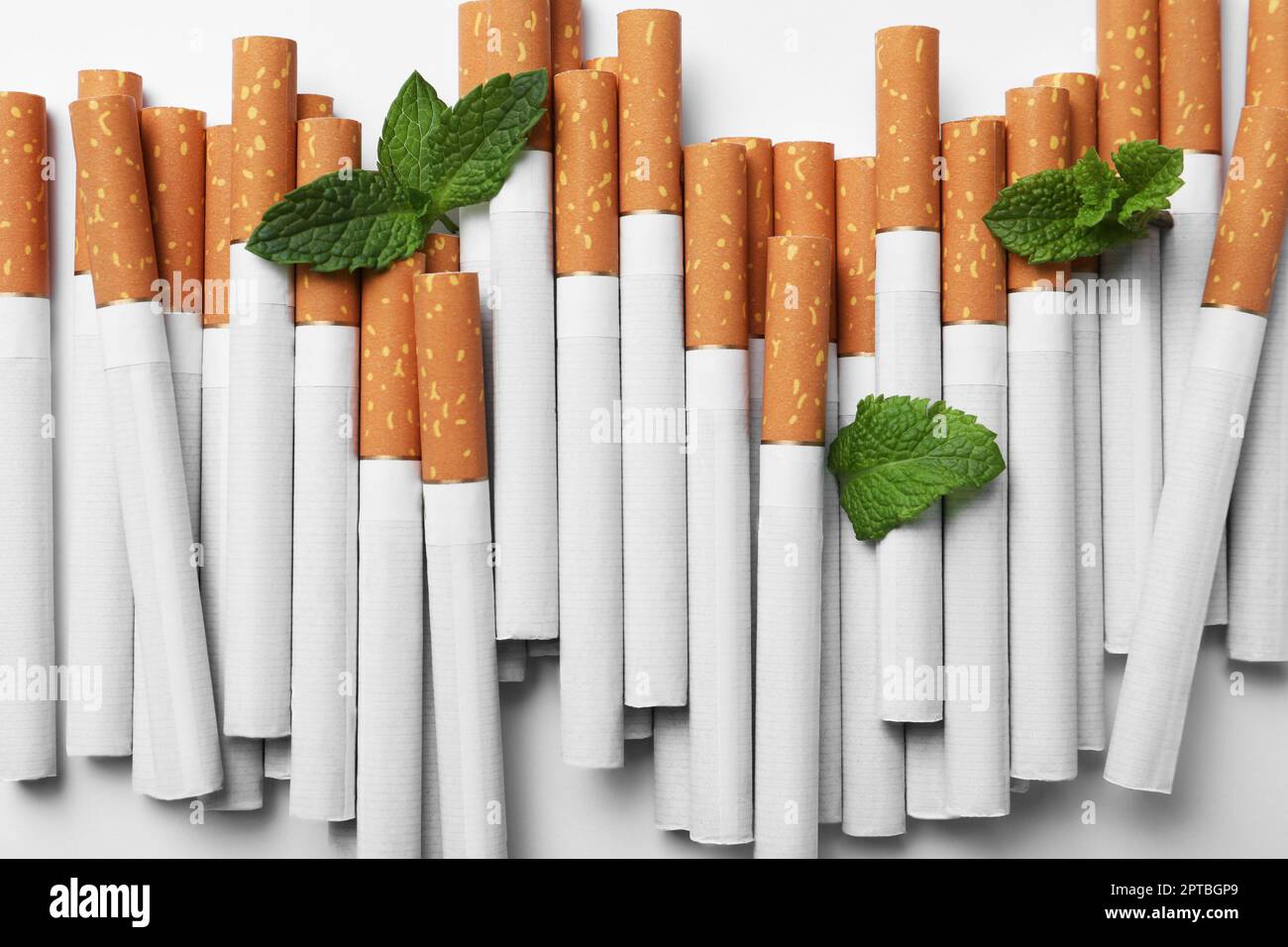 Menthol cigarettes and fresh mint leaves on white background, flat lay ...