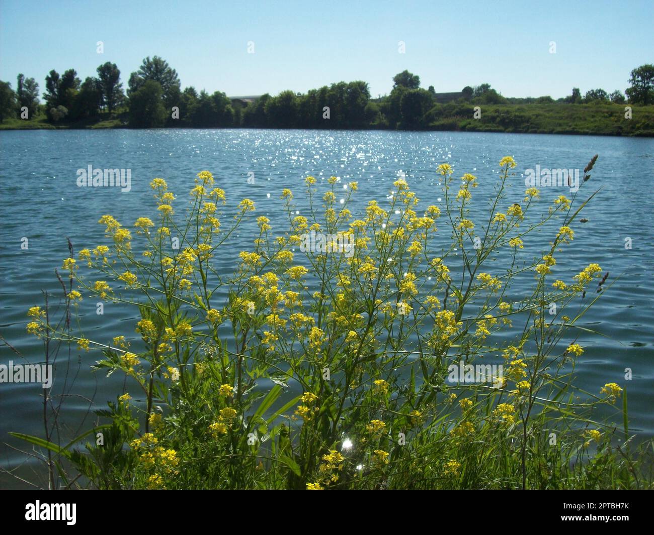 River and lakes in the countryside Stock Photo - Alamy