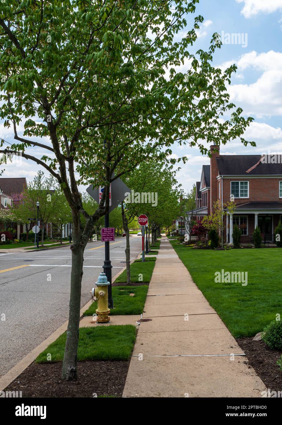 Summerset drive hi-res stock photography and images - Alamy