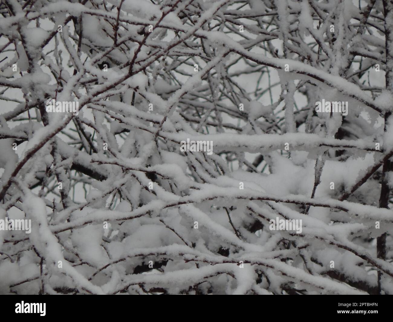 Texture snow fell on the street white background Stock Photo - Alamy