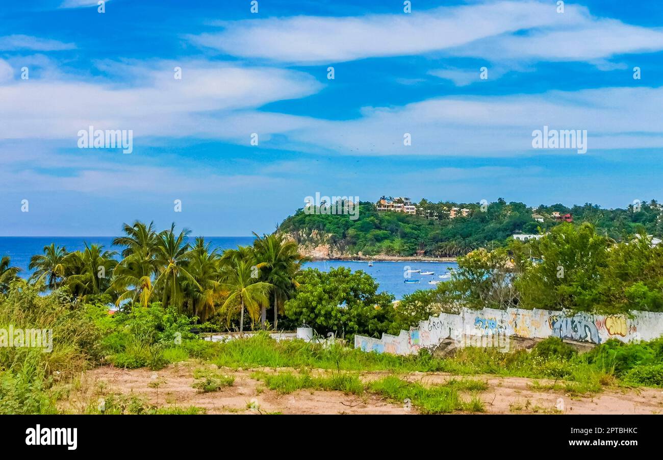 Beautiful natural panorama view with surfer waves palm trees and blue ...
