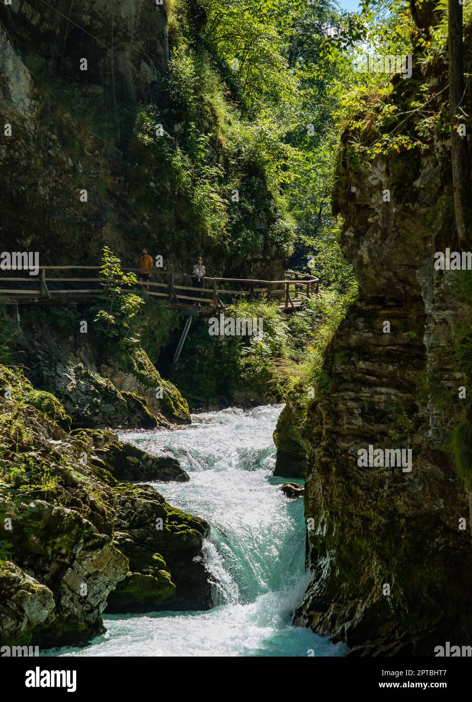 A picture of the Vintgar Gorge, the Radovna Valley river and the ...