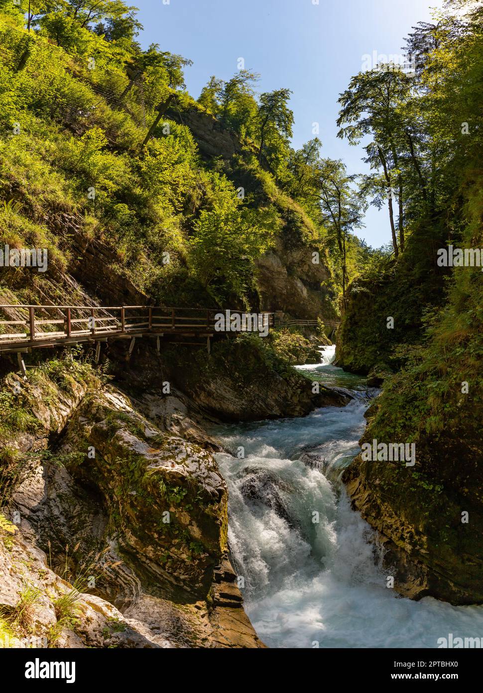 A picture of the Vintgar Gorge, the Radovna Valley river and the ...