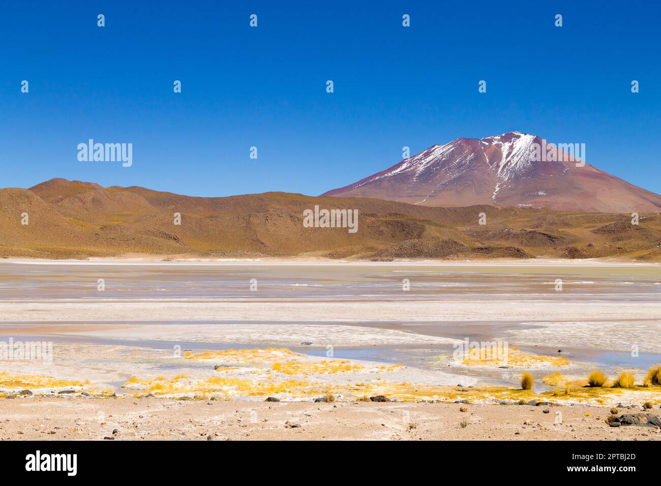 Laguna Hedionda landscape,Bolivia. Beautiful bolivian panorama. Blue ...