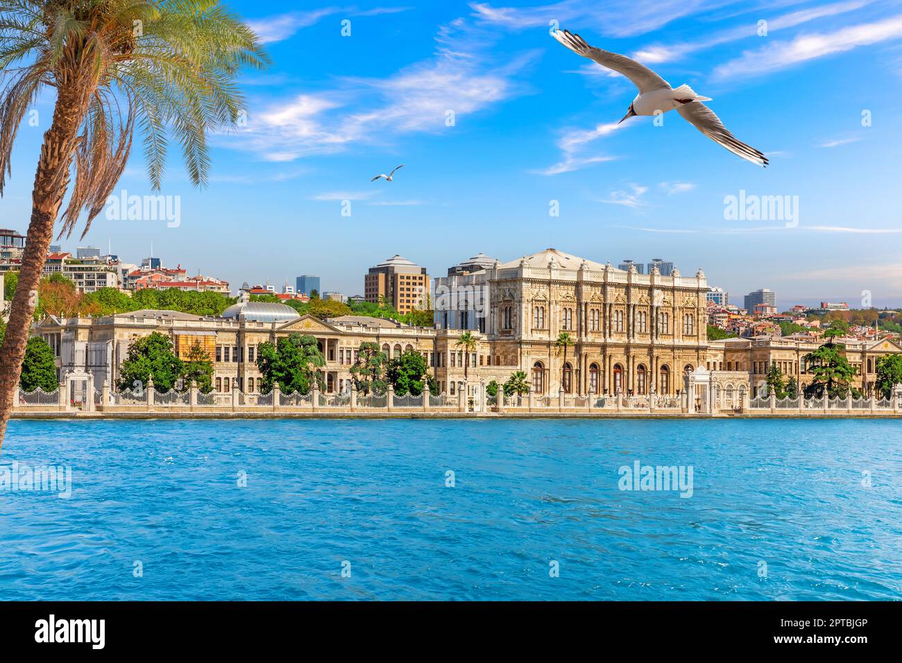 A Seagull flies by the Dolmabahce Palace, Bosphorus, Istanbul, Turkey ...