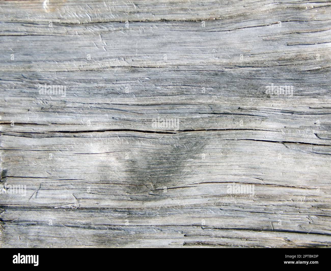 Stump wood texture Stock Photo - Alamy