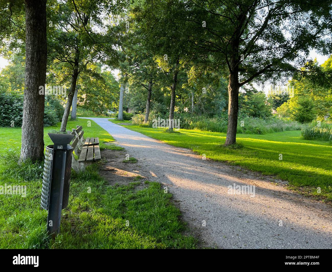 View of pathway going through park with beautiful green plants Stock ...